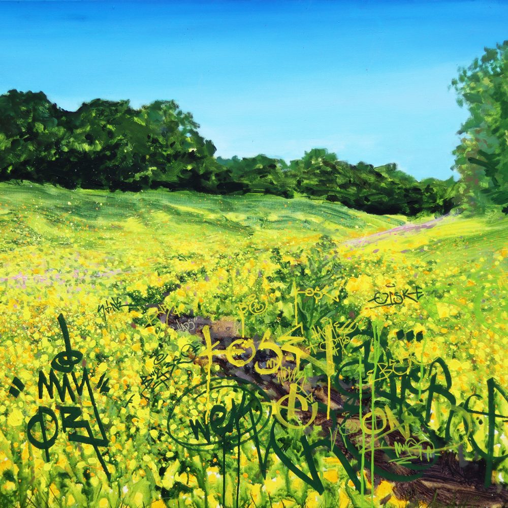 View the landscape graffiti paintings by artist Joe Webster