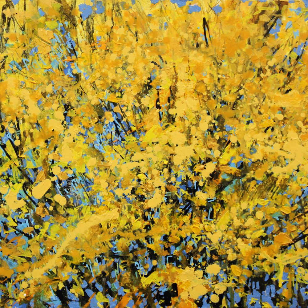 Selected Works : Plein-Air Landscape-Graffiti Painter Joe Webster