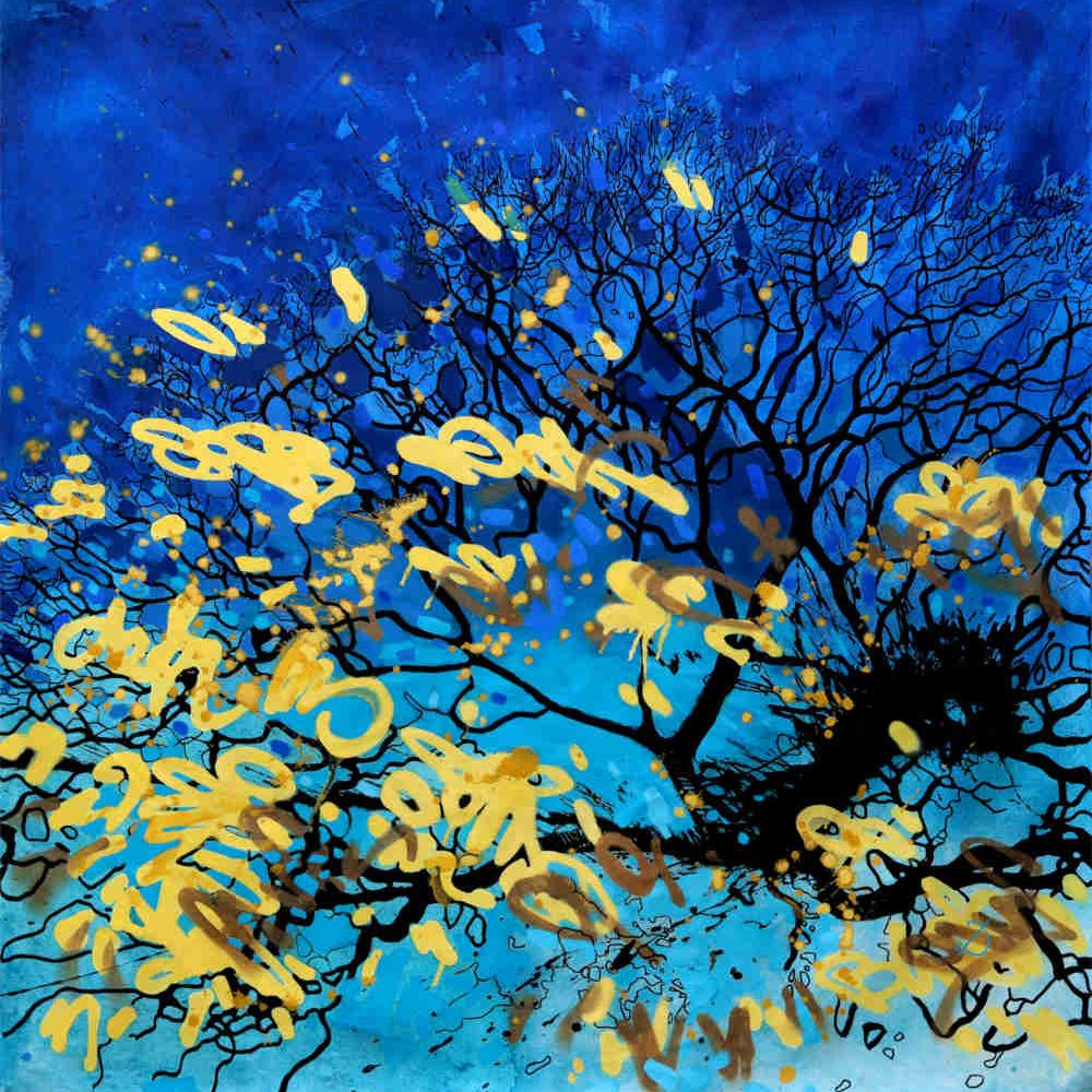 View the landscape graffiti paintings by artist Joe Webster